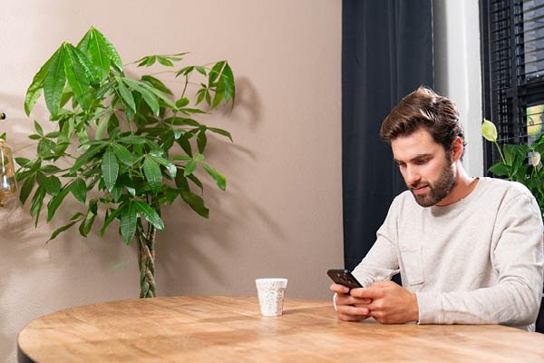 RegioBank app voor zakelijk gebruik - RegioBank